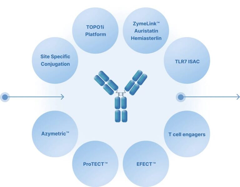 Technology — Zymeworks