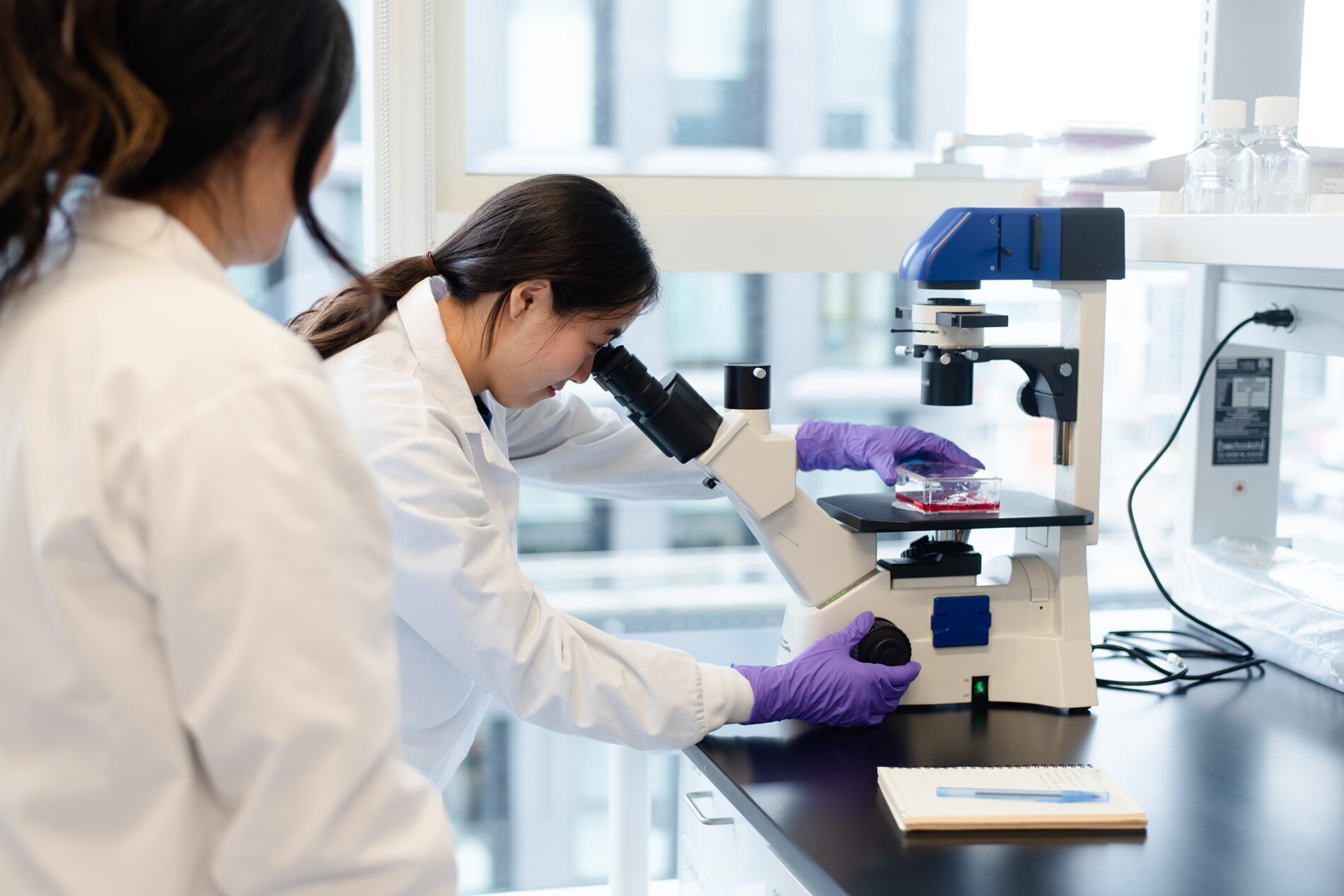 Zymeworks Announces Presentation at the European Respiratory Society ...